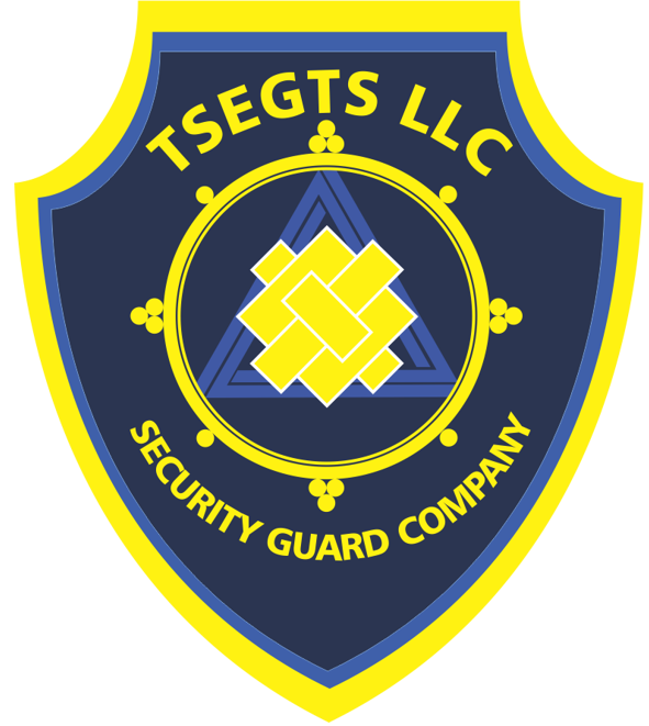 Tsegts LLC